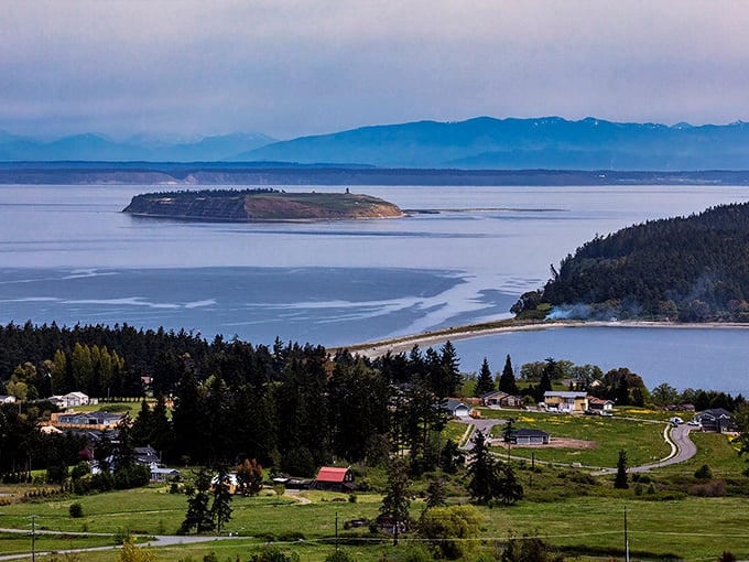 Dungeness Spit creates nature's own masterpiece where land meets sea in perfect harmony.