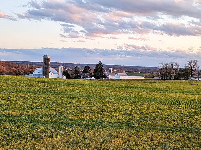 The quintessential Amish farm scene – complete with white barn, towering silo, and the peaceful absence of rush hour.