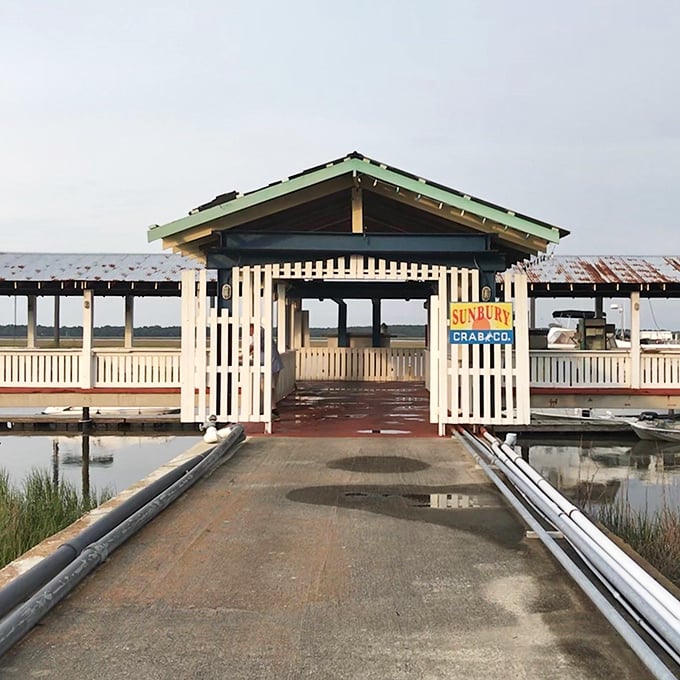 Ocean views and fresh catches combine where Georgia’s coastal beauty enhances every meal.