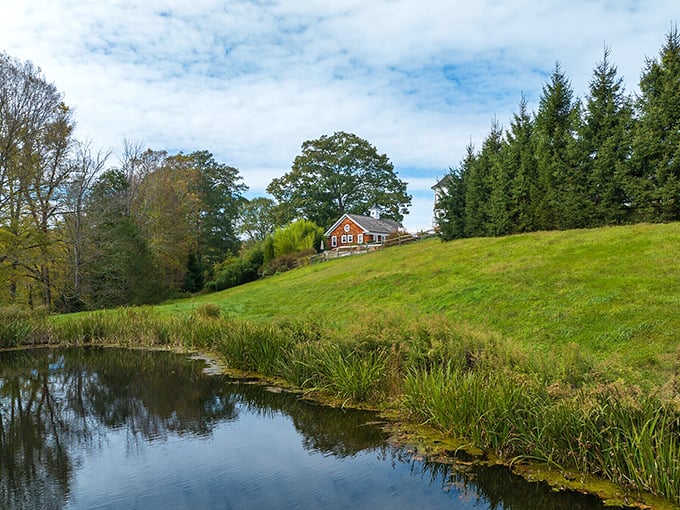 Rolling hills cradle a rustic home in Washington, where a peaceful pond reflects the countryside beauty that makes this town Hallmark-worthy.