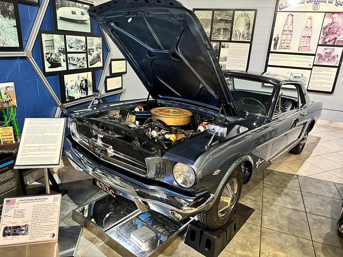 Under the hood of American muscle – this classic Mustang reveals its V8 heart. The mirror below offers a peek at its undercarriage secrets.