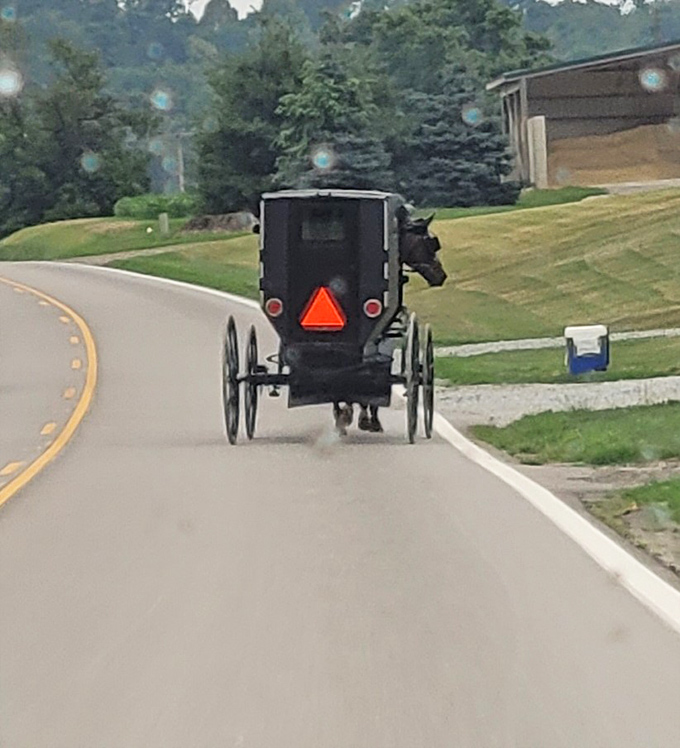 The iconic Amish buggy – where 19th-century transportation meets 21st-century safety features. That reflective orange triangle speaks volumes about practical adaptation.