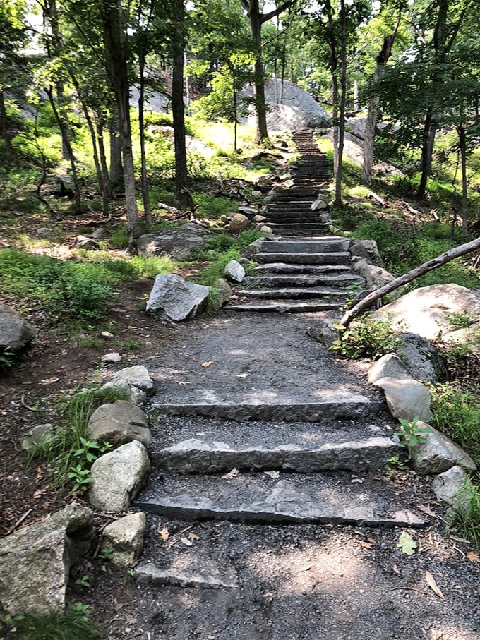 Stone steps that whisper "take it slow." The Appalachian Trail doesn't rush you—each carefully placed rock is an invitation to mindful walking.