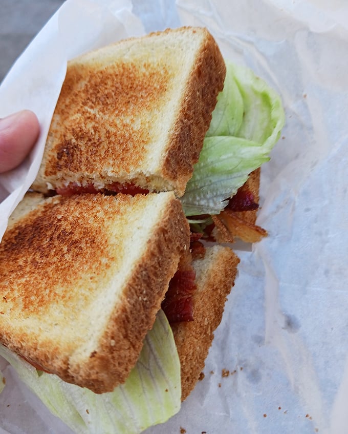 A perfectly executed BLT—the humble sandwich that separates good diners from great ones. Crisp lettuce, toasted bread, and bacon cooked just right.