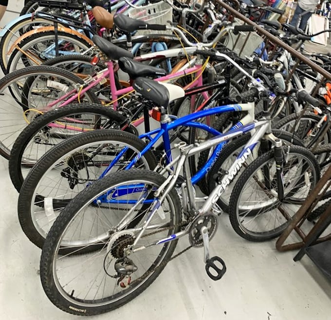 Bicycle battalion standing at attention—from beach cruisers to mountain bikes, all priced less than a week's worth of gas.