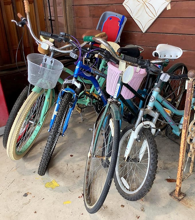 A fleet of pastel bicycles stands ready for new adventures – each basket waiting to carry picnic supplies or farmers market finds.