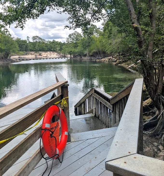 A wooden overlook offering front-row seats to the spring's aquatic theater. The best views don't require tickets or reservations.