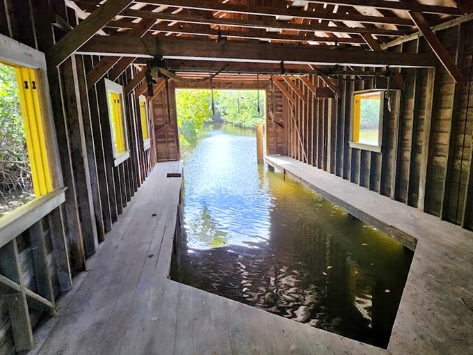The boathouse offers a unique perspective—half shelter, half aquatic highway—where water flows directly through the structure into the mangroves beyond.