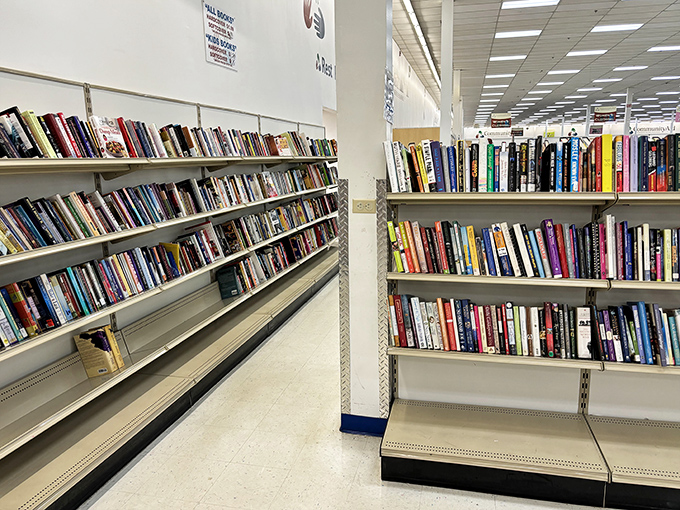 The book section: where literary worlds stack up like intellectual skyscrapers, promising countless mental vacations for pocket change.