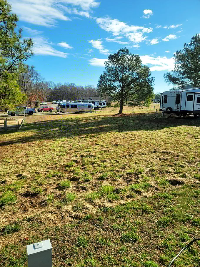 RV heaven under Virginia skies. The campground's layout offers that perfect balance of community and privacy that every camper secretly craves.
