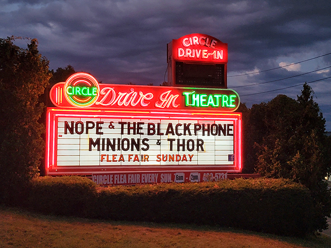 Classic drive-in theaters delivering movie magic under the stars—exactly like your first date, but with better sound systems.
