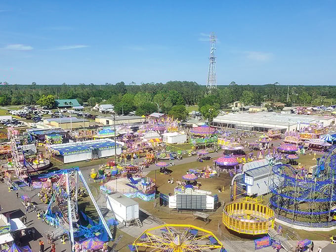 The Clay County Fairgrounds transform into a kaleidoscope of lights and color during festival season – affordable fun that doesn't require a financial advisor.
