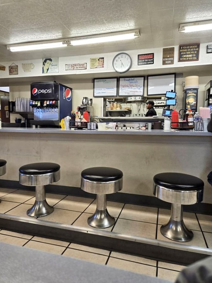 Classic diner counter seating—where solo diners become temporary neighbors and coffee refills arrive before you even ask.