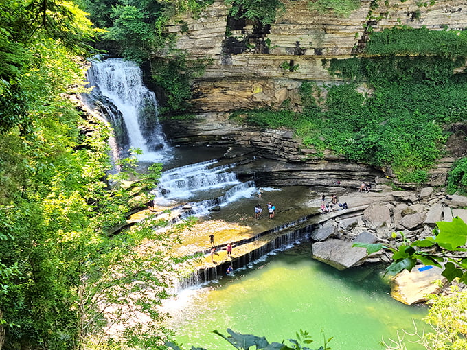 Cummins Falls creates nature's perfect swimming pool—the kind that makes you wonder why anyone bothered inventing the chlorinated version.