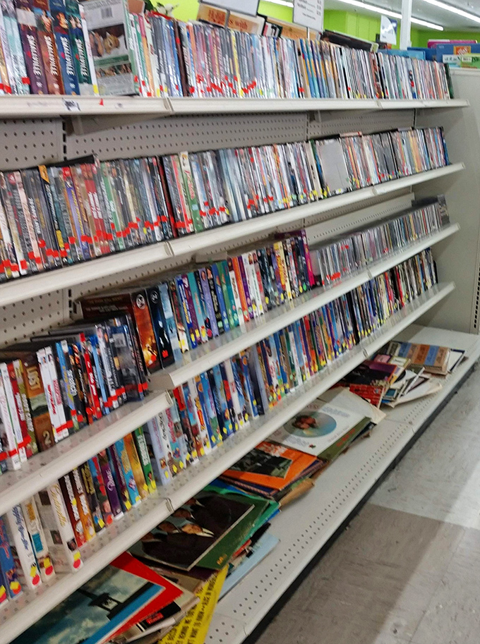 DVD shelves packed with cinematic history – from blockbusters to obscure documentaries. Your next movie marathon is hiding somewhere in these rows.