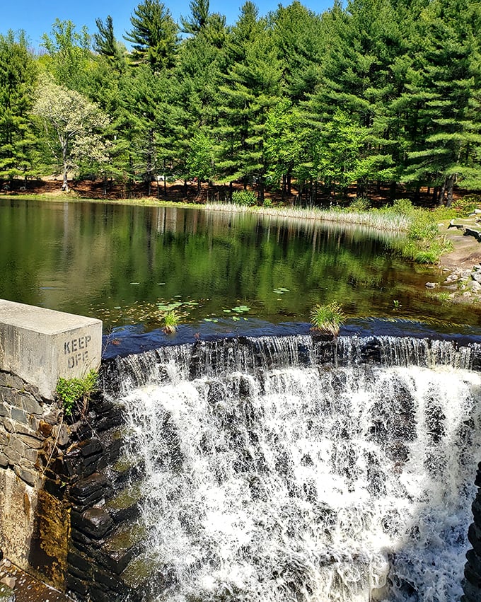 The dam creates a perfect cascade, nature's white noise machine that drowns out everything except the moment you're in.