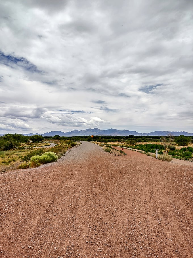 The road less traveled often leads to the best views in New Mexico, with the Organ Mountains standing like ancient guardians on the horizon.