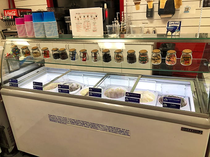 The display case—where ice cream fantasies are born and diets go to die. Each flavor patiently waiting its turn to change your life.