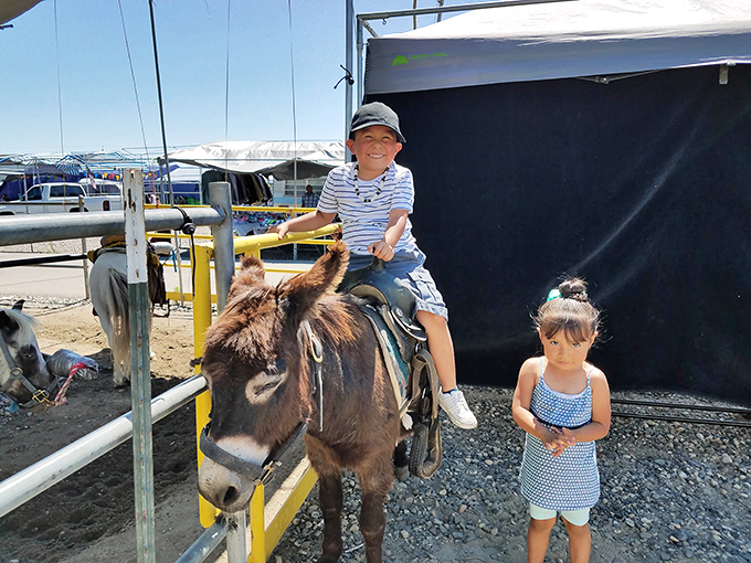Childhood joy in its purest form—a donkey ride at the market creates memories that will outlast any toy purchase.