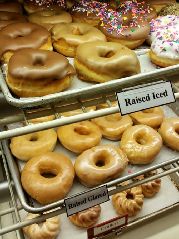 Donuts lined up like sweet soldiers ready for duty—the glazed ones glistening with that perfect sugar sheen that promises sticky fingers worth licking.