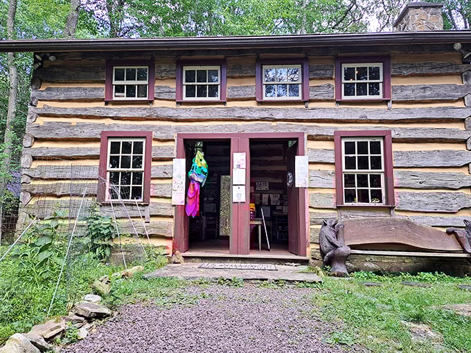 Log cabin authenticity without the pioneer hardships—the Eagles Mere Conservancy connects visitors with the area's natural heritage.