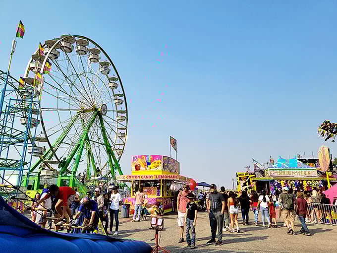Eastern Idaho State Fair bringing carnival magic without Vegas prices – your grandkids will thank you.