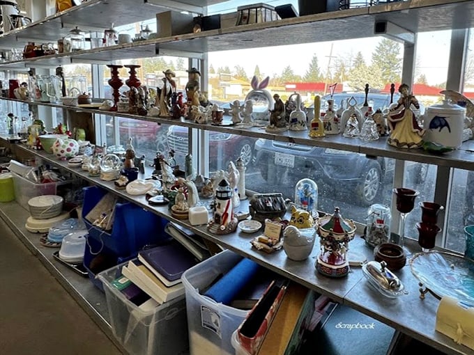 The figurine display window offers a glimpse into America's collective knick-knack consciousness, sunlight illuminating porcelain memories.