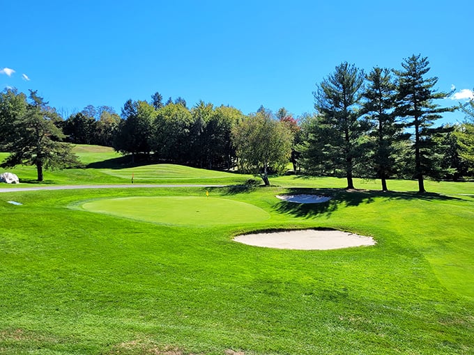 Forest Park Country Club's manicured greens offer affordable golf amid Berkshire beauty—where even your worst slice comes with a spectacular mountain backdrop.