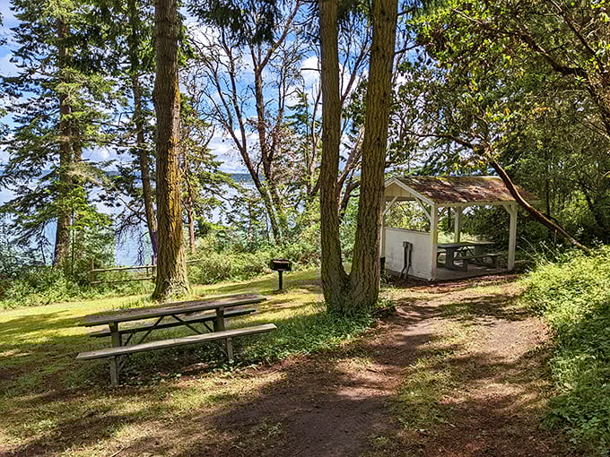 Fort Townsend State Park offers that perfect blend of nature and amenities—picnic tables with million-dollar views and just enough civilization to keep the wilderness comfortable.