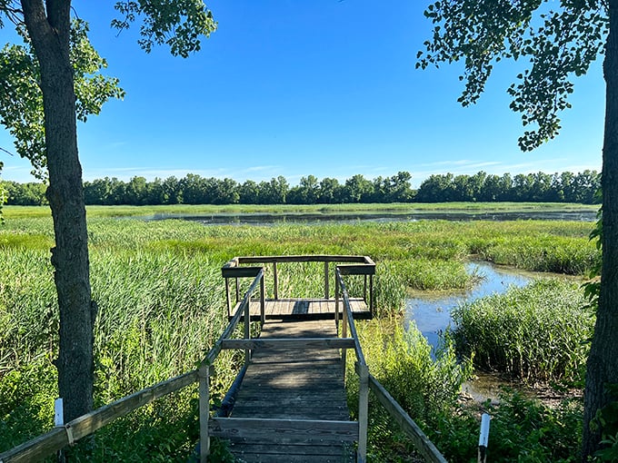 Frankfort's lagoons offer a serene escape where the only thing more abundant than cattails is the sense that retirement in a small town was your smartest financial move.