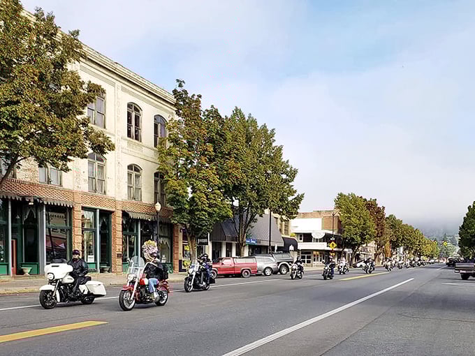 Freedom rides indeed – motorcyclists parade down Main Street, enjoying the open road in a town where traffic jams are practically mythical creatures.