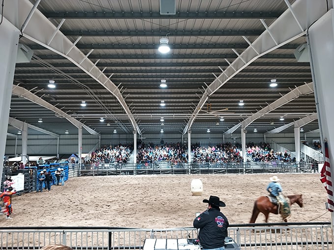 The Hardee County Fair brings rodeo excitement and agricultural pride to locals and visitors. Nothing says "authentic Florida" like cowboys kicking up arena sand.