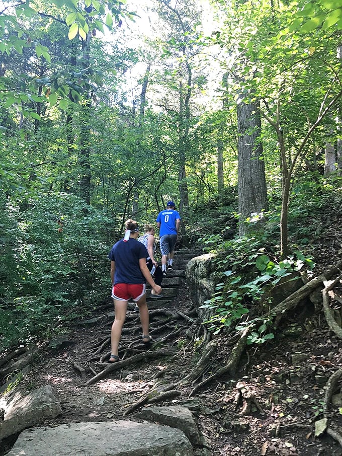 The stairway to heaven is actually in Missouri – hikers navigate stone steps on one of the park's challenging trails, where every elevation gain rewards with better views.