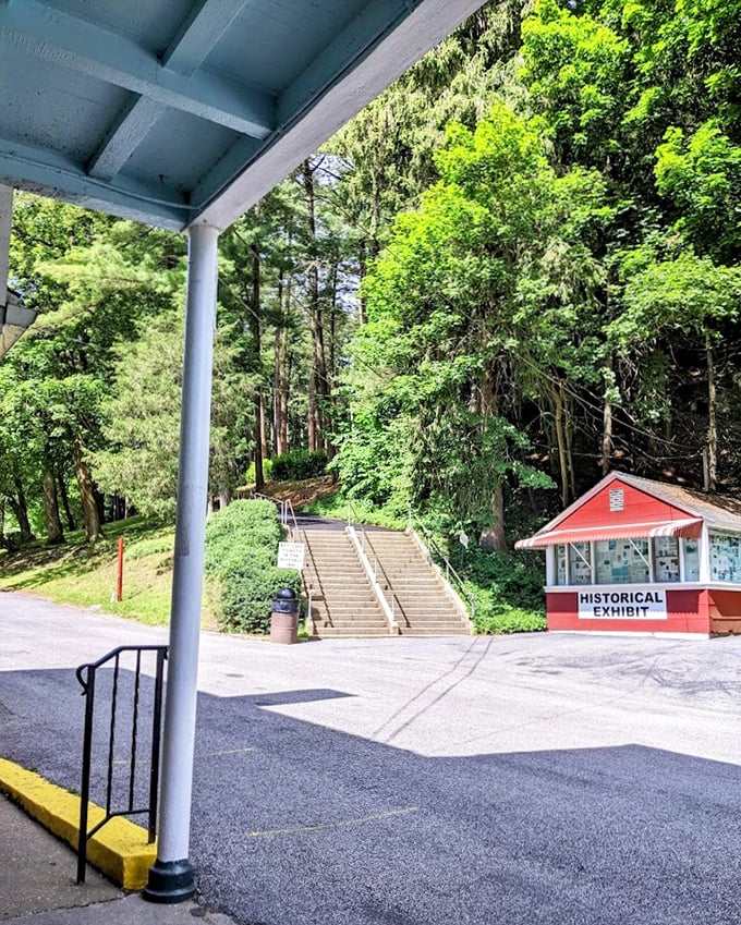Steps leading to adventure – the pathway through Crystal Cave's grounds invites visitors to explore both above and below ground.