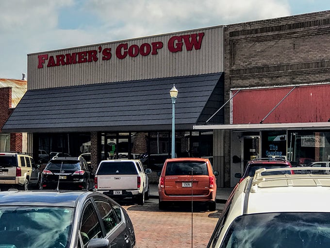The Farmer's Coop isn't just a store—it's the practical heartbeat of agricultural communities where handshakes still seal deals.