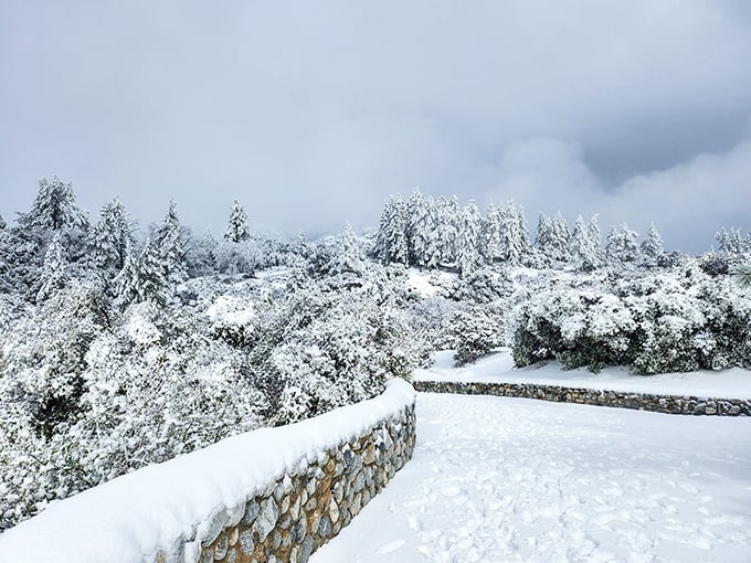 Winter transforms Indian Vista into a snow globe come to life. Suddenly Southern California feels more like Narnia than the land of palm trees.