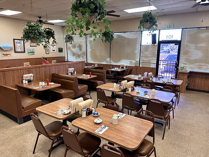 Booths designed for settling in and solving the world's problems. Or at least deciding whether to order another side of bacon.