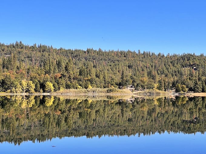 Mirror, mirror on the lake. Lake Britton's perfect reflection doubles the beauty of the surrounding forest in this serene morning scene.