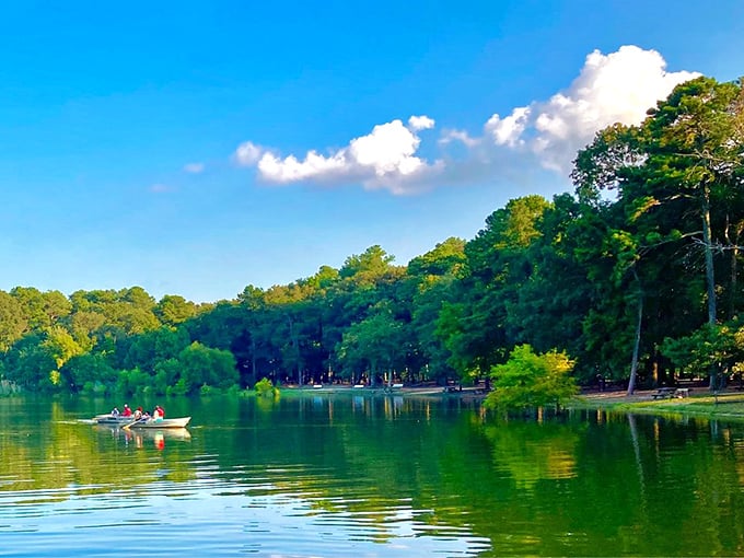Summer serenity at its finest—a small boat glides across emerald waters while the shoreline offers shady respite from the Delaware sun.