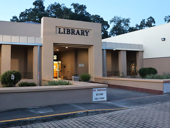 The library stands ready to prove that despite what the internet says, books aren't dead – they're just waiting for your return.