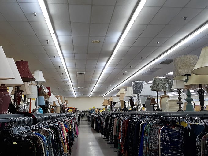 The lamp section casts a warm glow over nearby clothing racks—illuminating potential fashion finds while offering affordable lighting solutions for every home.