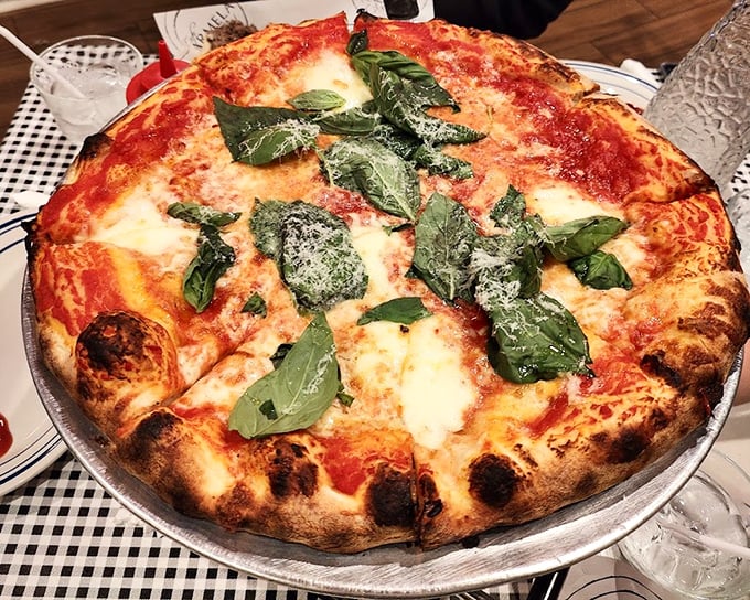 This Margherita pizza doesn't need Instagram filters—it's already perfect. Those basil leaves are practically posing for their close-up.