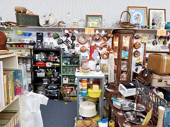 Menagerie Antiques doesn't sell old stuff—it offers previous lives, forgotten stories, and the chance to own something that's seen more history than your history teacher.