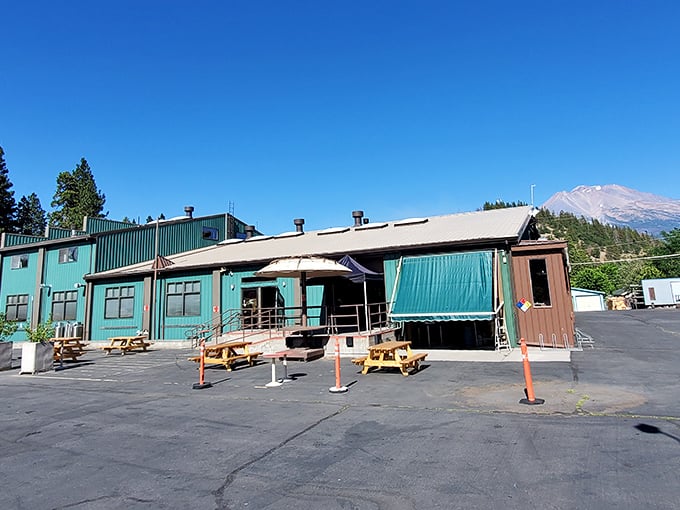 Mount Shasta Brewing Company proves great beer doesn't require hipster bartenders or Edison bulbs. Just picnic tables, mountain air, and locally-crafted happiness.