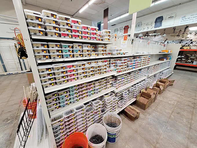 An organizational masterpiece of nuts, bolts, and hardware treasures—like a hardware store's inventory decided to attend a Marie Kondo seminar.