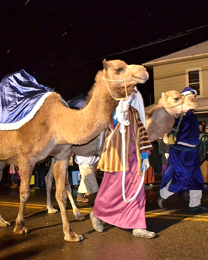 During special events, Berlin transforms into a living storybook—complete with camels that seem surprisingly at home in Ohio.