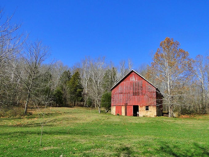 The classic red barn stands sentinel over rolling fields, exactly as Indiana barns should look in photographs.