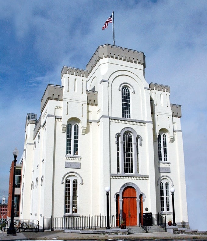 Oswego Public Library's stately pink facade houses more than books—it's a community living room where ideas and connections flourish daily.