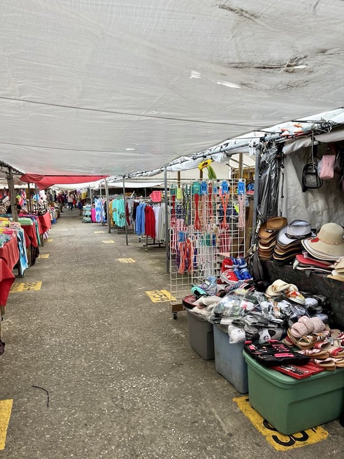 The outdoor vendor experience – where Florida sunshine adds an extra dimension to shopping and haggling becomes an Olympic sport worth training for.