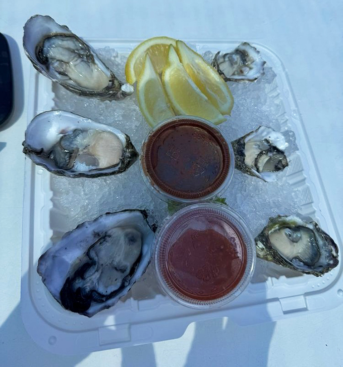 Fresh oysters on ice, glistening like jewels from the deep—nature's perfect appetizer with just a squeeze of lemon and a dash of courage.